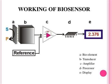 The Schematic Representation Of A Biosensor Download Scientific Diagram