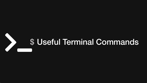 useful terminal commands for linux macos and ubuntu