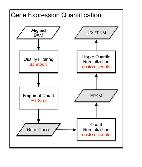rna seq quantification nci genomic data commons