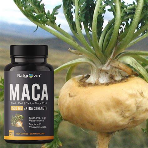 Boost Your Libido Top 8 Maca Root Supplements For Stamina