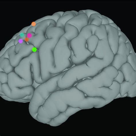 Individualized Left Dorsolateral Prefrontal Cortex Targets Download