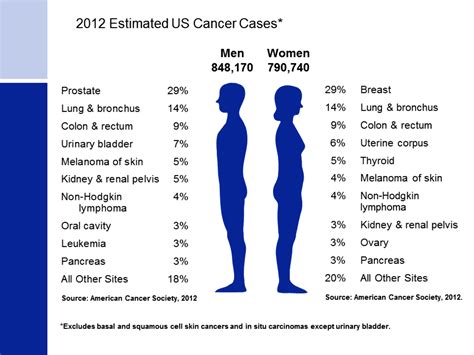 The Incidence Of Different Types Of Cancers In Men Vs Women Health