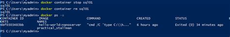 provisioning sql server instances with docker simple talk