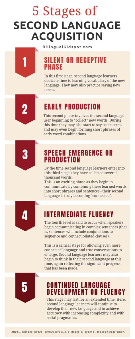5 stages of second language acquisition infographic