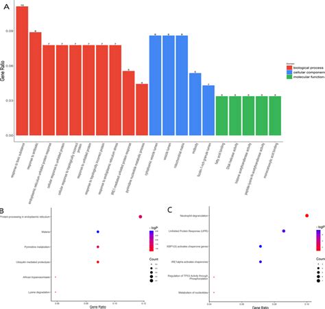 Go Kegg Reactome And Gsea Analyses Of The Differentially Expressed
