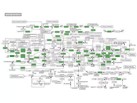 Ppt Phosphoribosyl Pyrophosphate Prpp Powerpoint Presentation Free