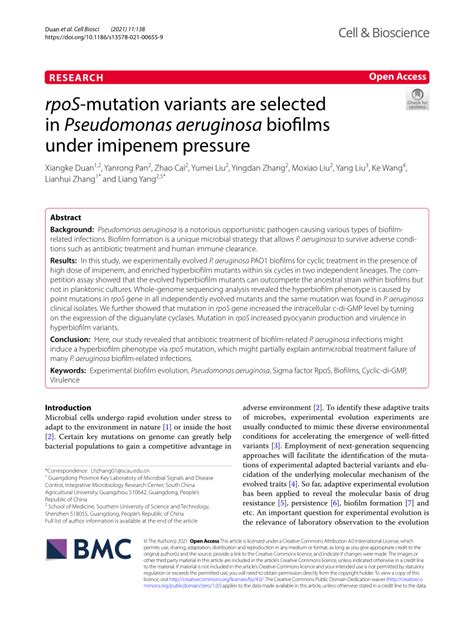 Pdf Rpos Mutation Variants Are Selected In Pseudomonas Aeruginosa