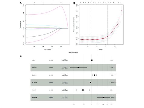 Construction Of An Immune Related Lncrna Prognostic Risk Score Model