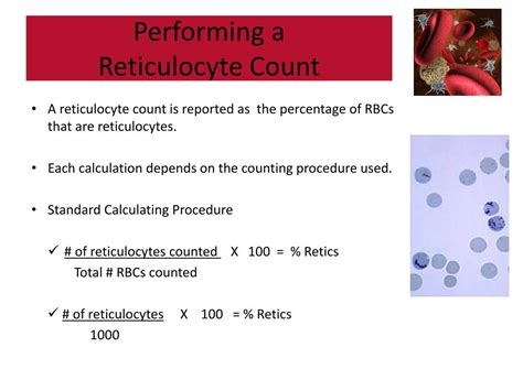 Reticulocyte Count Calculation