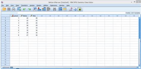 download ibm spss 26 0 full davi24