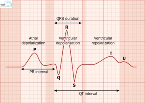 Qtc Prolongation And Psychotropics Clinical Evaluation And Management