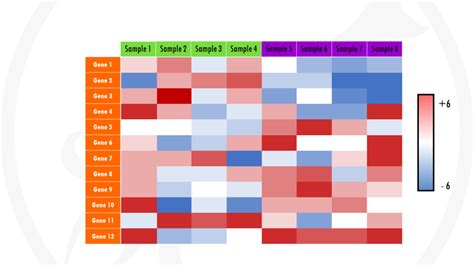 Heatmaps For Gene Expression Analysis Simple Explanation With An