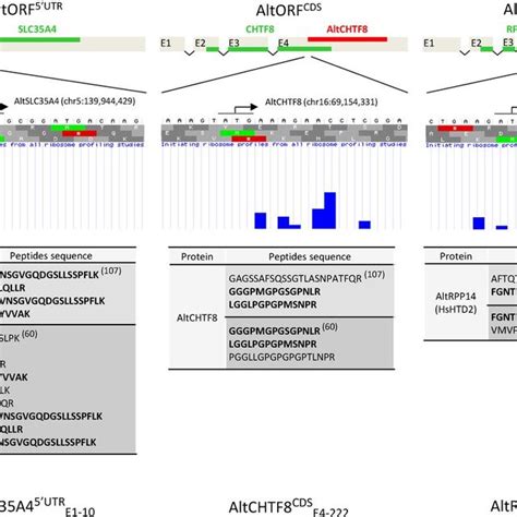 Ribosome Profiling And Ms Are Common Techniques To Detect Alternative