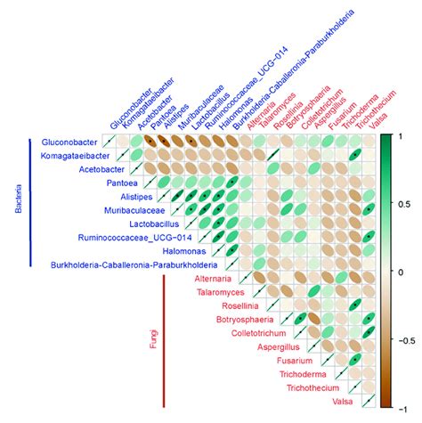 Correlation Analysis Of Abundant Bacteria And Fungi In Huangguan