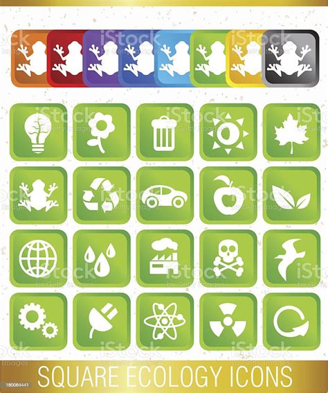 Multicolores Icônes Et Les Symboles De Lécologie Mètres Vecteurs Libres