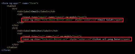 cara membuat validasi form input dengan angularjs 4 kursus web design