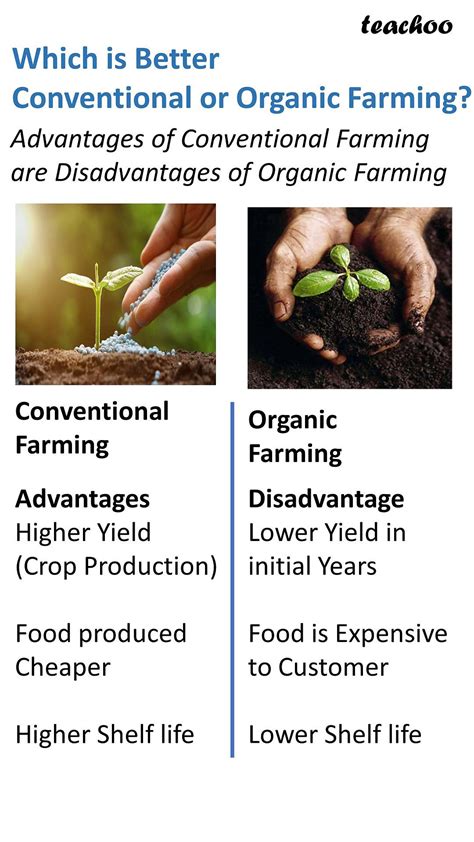 [class 12] What Is Organic Farming Economic Teachoo Chapter 6 Ied