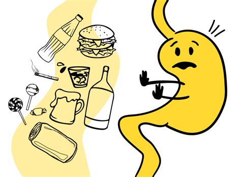 The Gut Brain Connection From The Odoc Blog