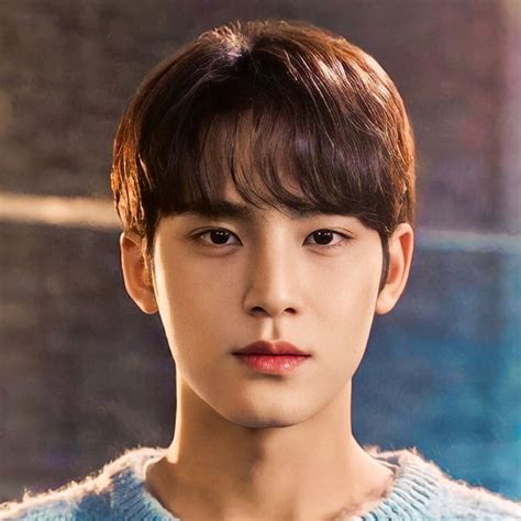 Kim Mingyu Visuals Mingyu Seventeen Kim Visual Quick