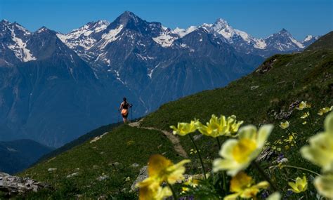 Trekking Alps Hiking Tours In Italy With A Local Guide