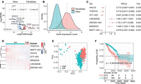 Frontiers Cancer Associated Fibroblasts Derived Lncrna Signature As A