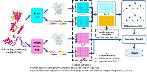 Frontiers Prediction Of Dna Binding Protein Drug Binding Sites Using