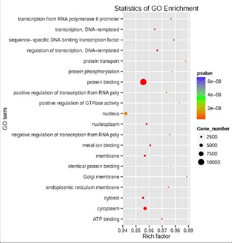 Kegg Pathway Analysis For The Predicted Targets Of The Differentially