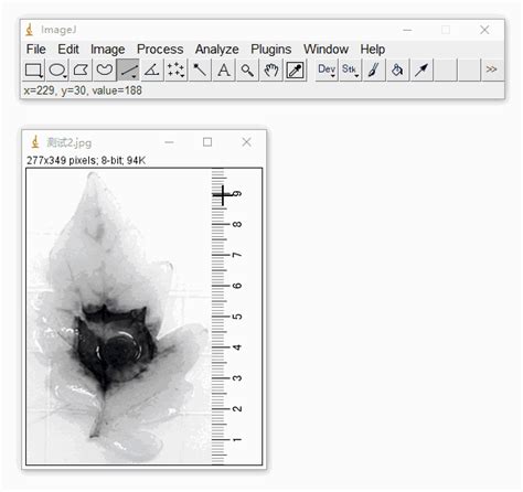 如何用imagej测量图片不规则区域面积？ 基迪奥生物