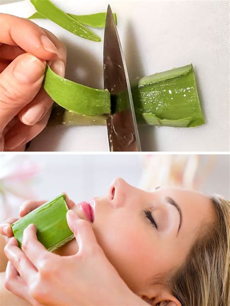 9 Maneras De Usar El Aloe Vera Que Pueden Facilitar Tu Vida En 2020