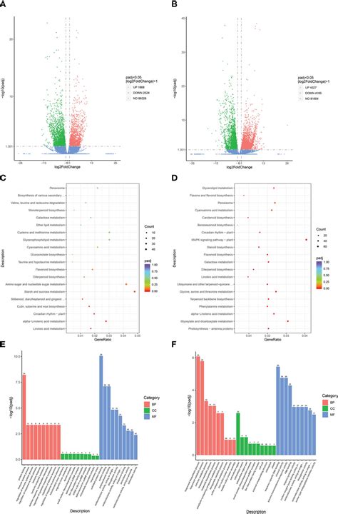 Frontiers Integrated Transcriptome And Metabolome Analysis Reveals
