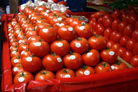 Jitomate Mexicano Aumenta Producción 35 Por Ciento