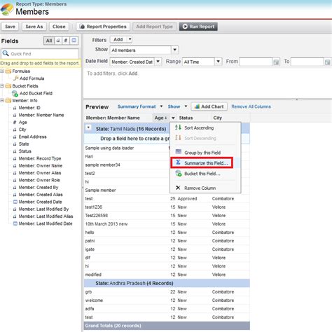 how to summarize a field in report in salesforce infallibletechie