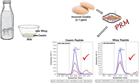 Best Homemade Foods With Casein Protein 2023 Atonce