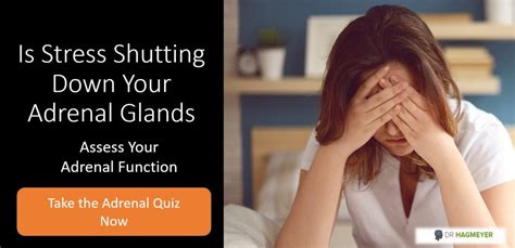 Chronic And Adrenal Fatigue Syndrome Symptoms And Treatments