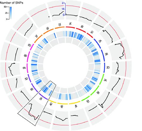 Quantitative Trait Loci Qtl Analysis And Near Isogenic Line Nil