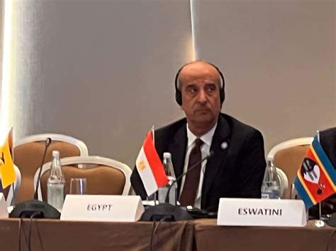 مندوب مصر الدائم بالأمم المتحدة يترأس وفد مصر في اجتماعات حركة عدم