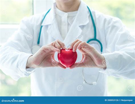 Cardiovascular Disease Doctor Or Cardiologist Holding Red Heart In