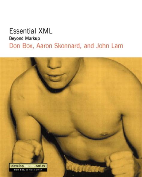 essential xml beyond markup informit