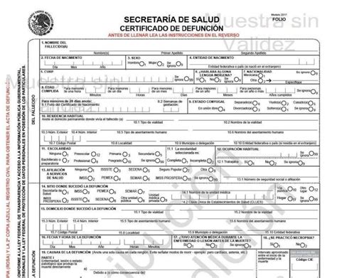 ⊛ Certificado De Defunción •【2024】