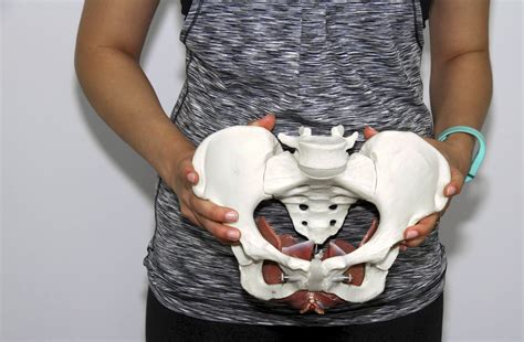 The End To Pelvic Floor Dysfunction Pelvic Floor Dysfunction Pelvic