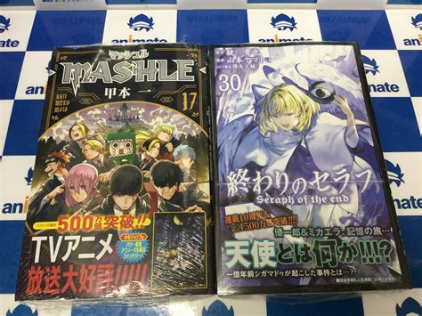 アニメイト池袋本店 On Twitter 【2f新刊情報②】 「マッシュル Mashle 17 」 「終わりのセラフ 30 」 「血界