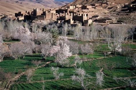 5 Cultural Festivals To Visit When In Morocco Moroccan Musthaves