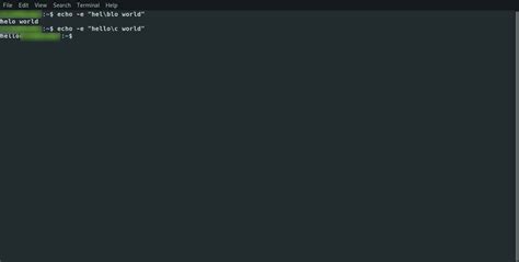 output text to the screen using the linux echo command