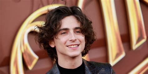 Timothée Chalamet Relationship With Kylie Jenner And New Film Wonka