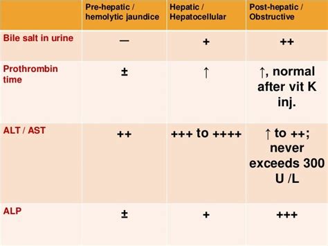 Liver Function Test And Jaundice