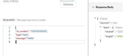 how to send messages integrate with the whatsapp api node js react