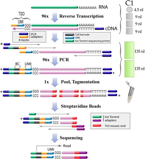 5′ Rna Seq Blog