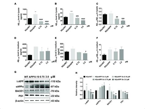 Xn Inhibited Aβ Accumulation And App Processing Levels Of Aβ 1 42