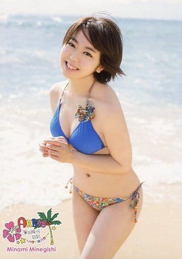 駿河屋 峯岸みなみ 5 Dvd「akb48海外旅行日記 ハワイはハワイ 」特典（女性生写真）