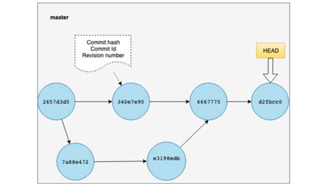 introduction to git how git works shift asia software qa